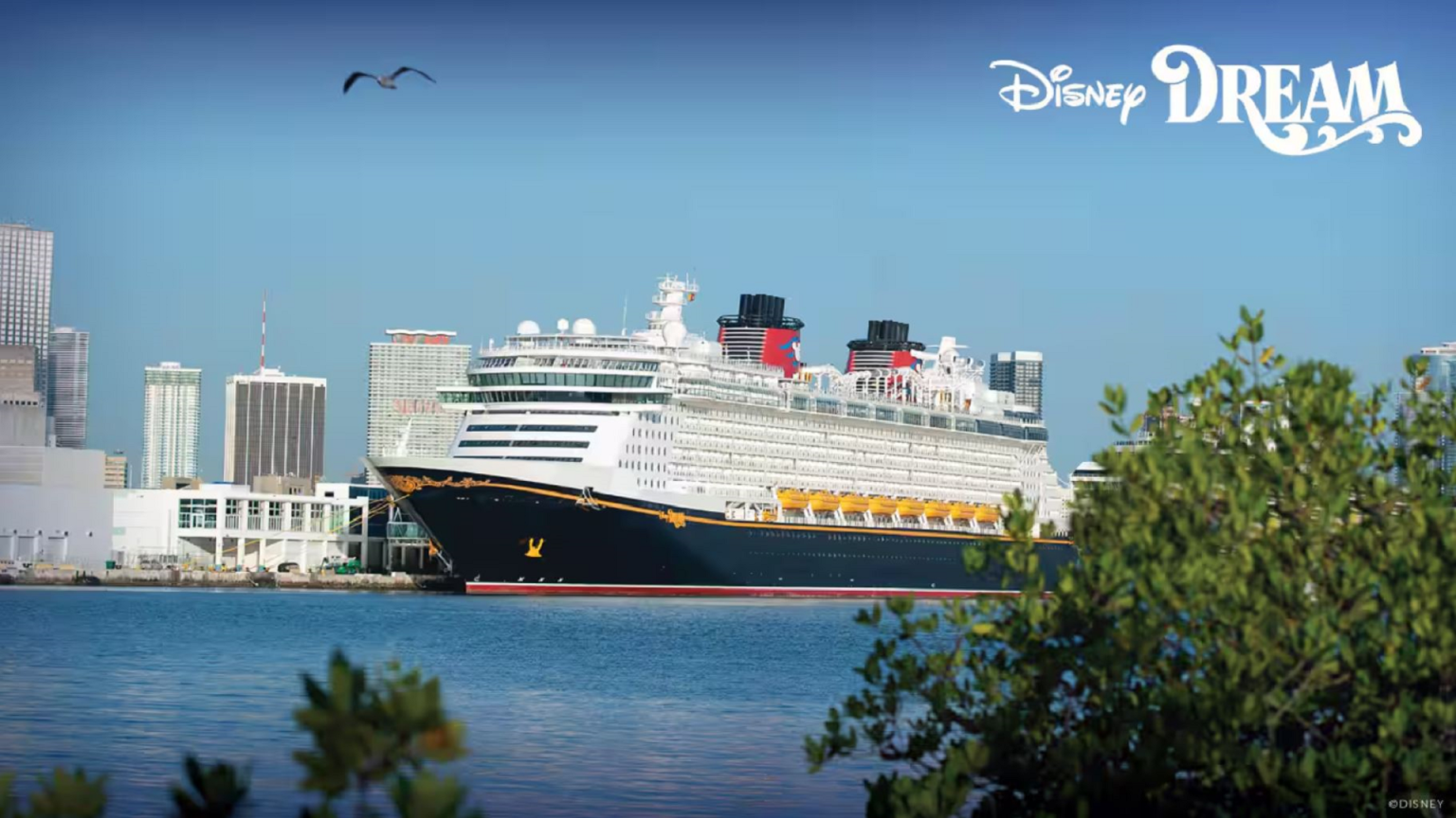Disney Dream: Setting Sail from Miami All Year Long - Disney Parks Blog