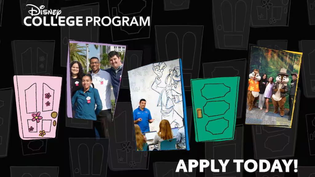 5 Reasons You Should Apply for the Disney College Program - Disney ...