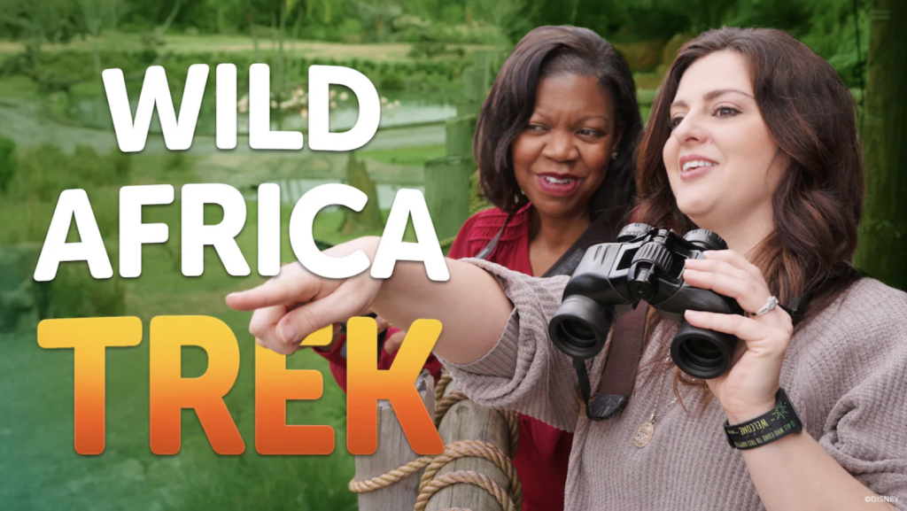 Ultimate Guide to Wild Africa Trek at Animal Kingdom