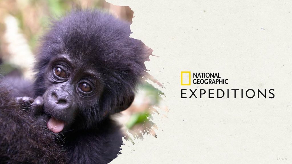 VIDEO: The Great Apes National Geographic Expedition - Disney Parks Blog