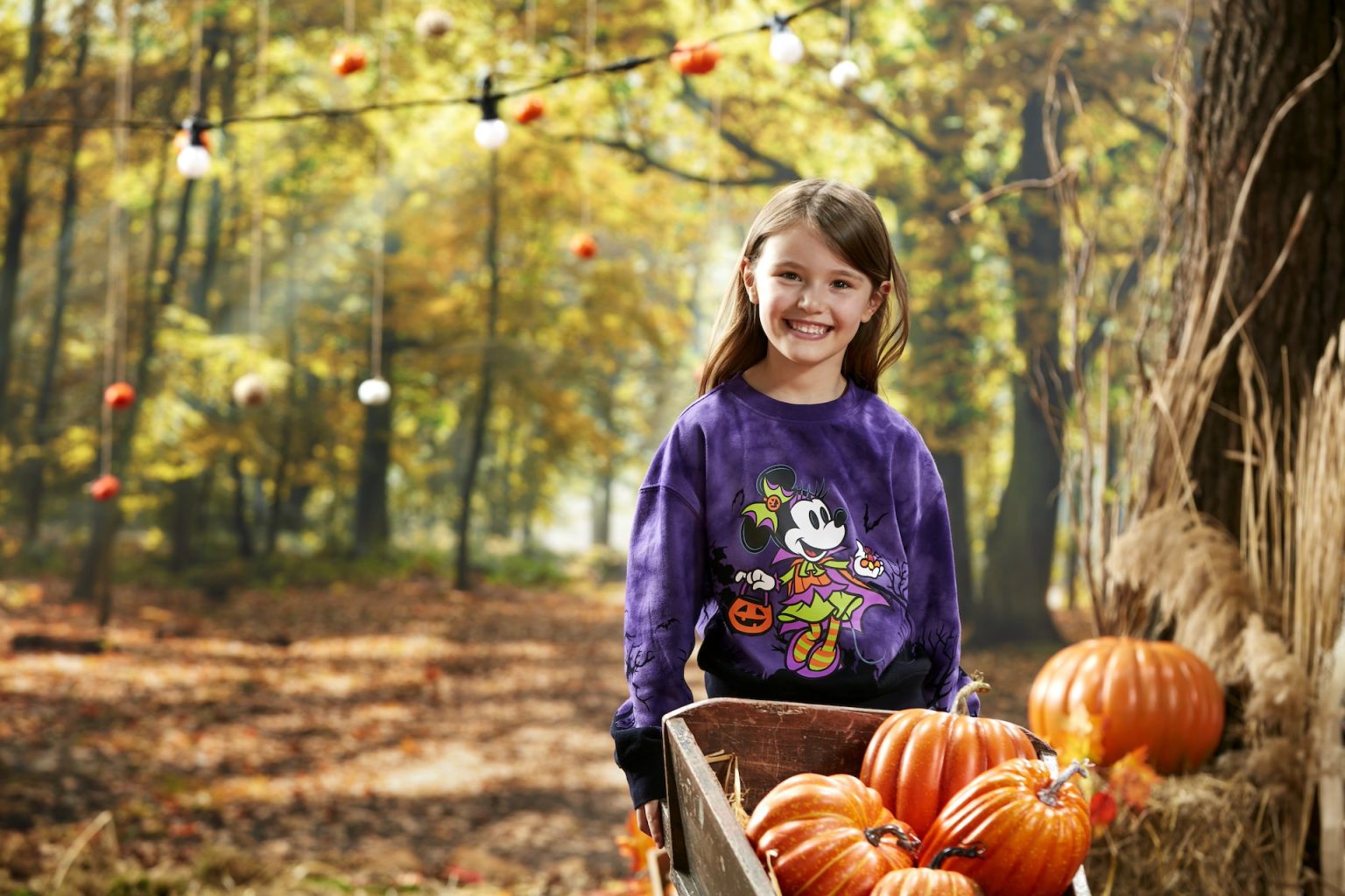 2024 Disney Halloween Merch Arrives at Disney Store and More