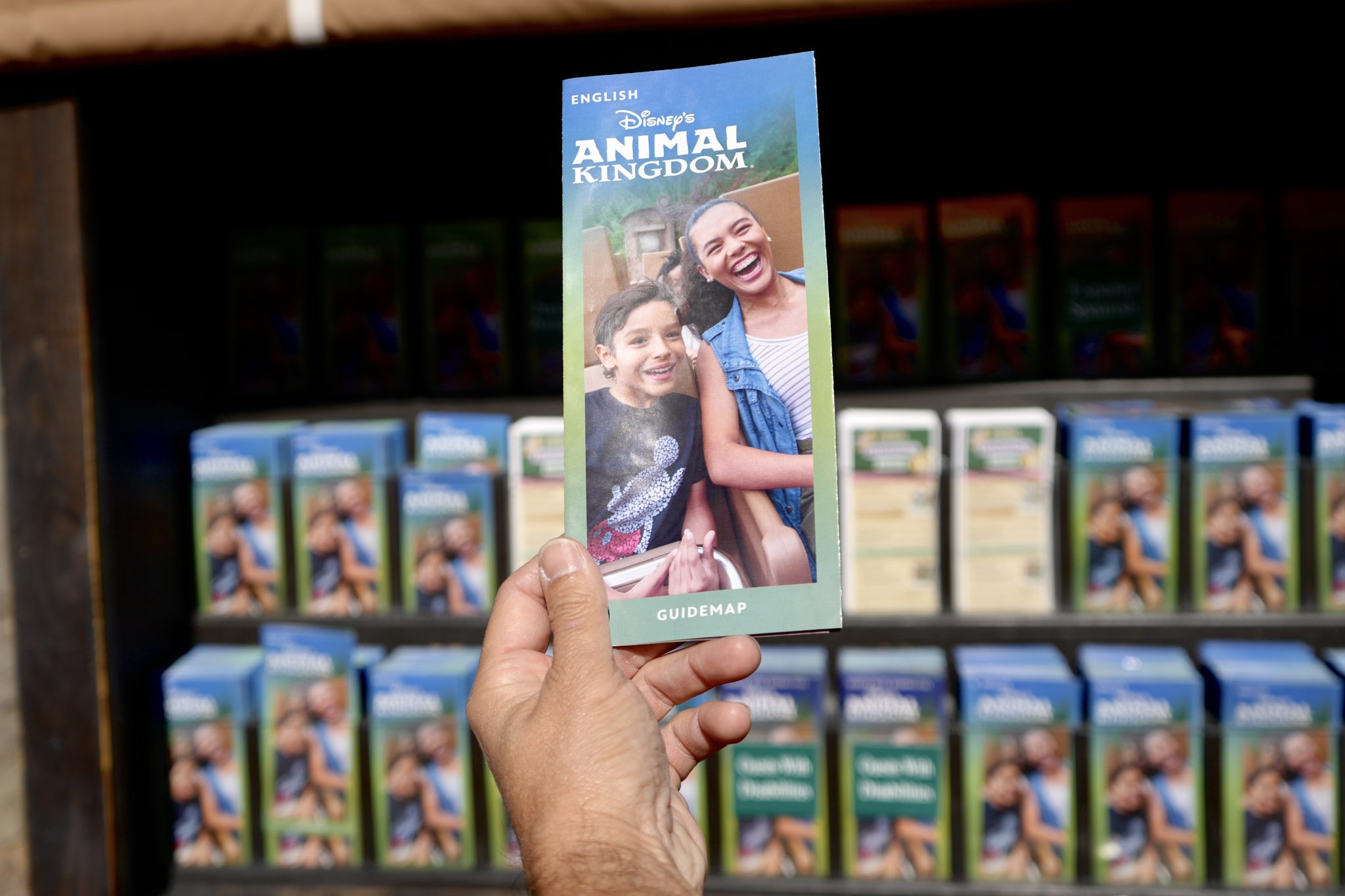 Shop Small Business Saturday at Disney World This Season