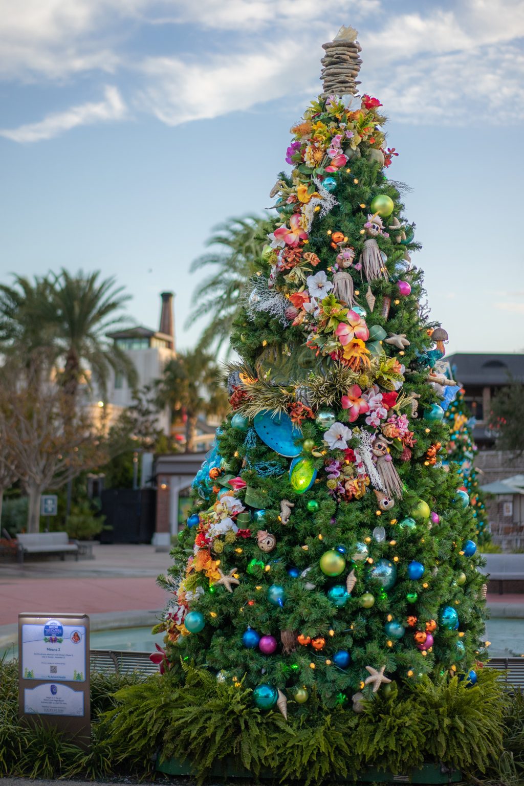 Where to Find Moana 2 at Disney Parks