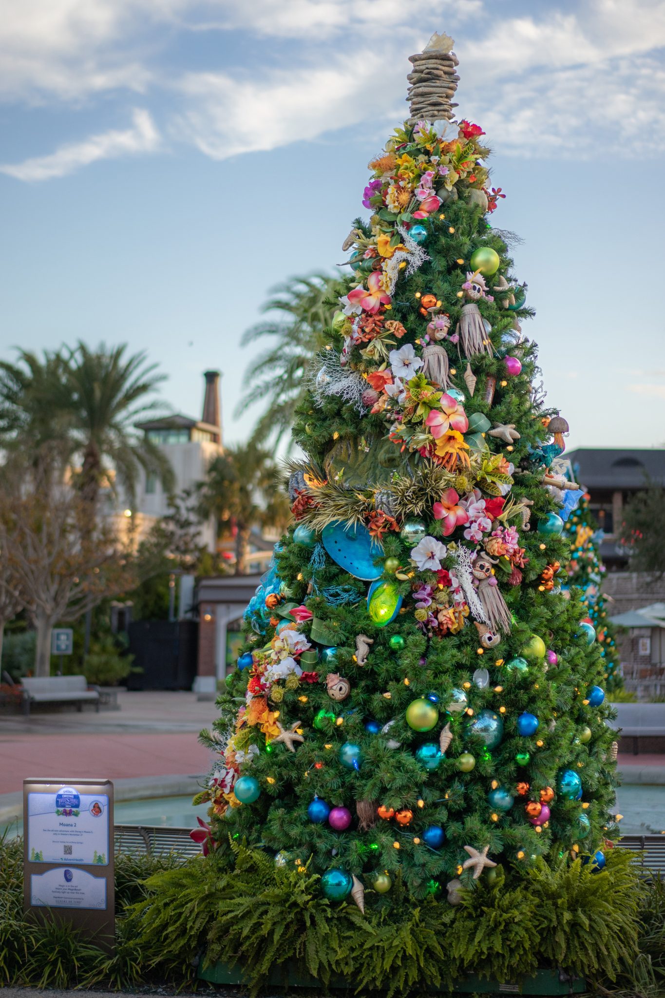 Where to Find Moana 2 at Disney Parks