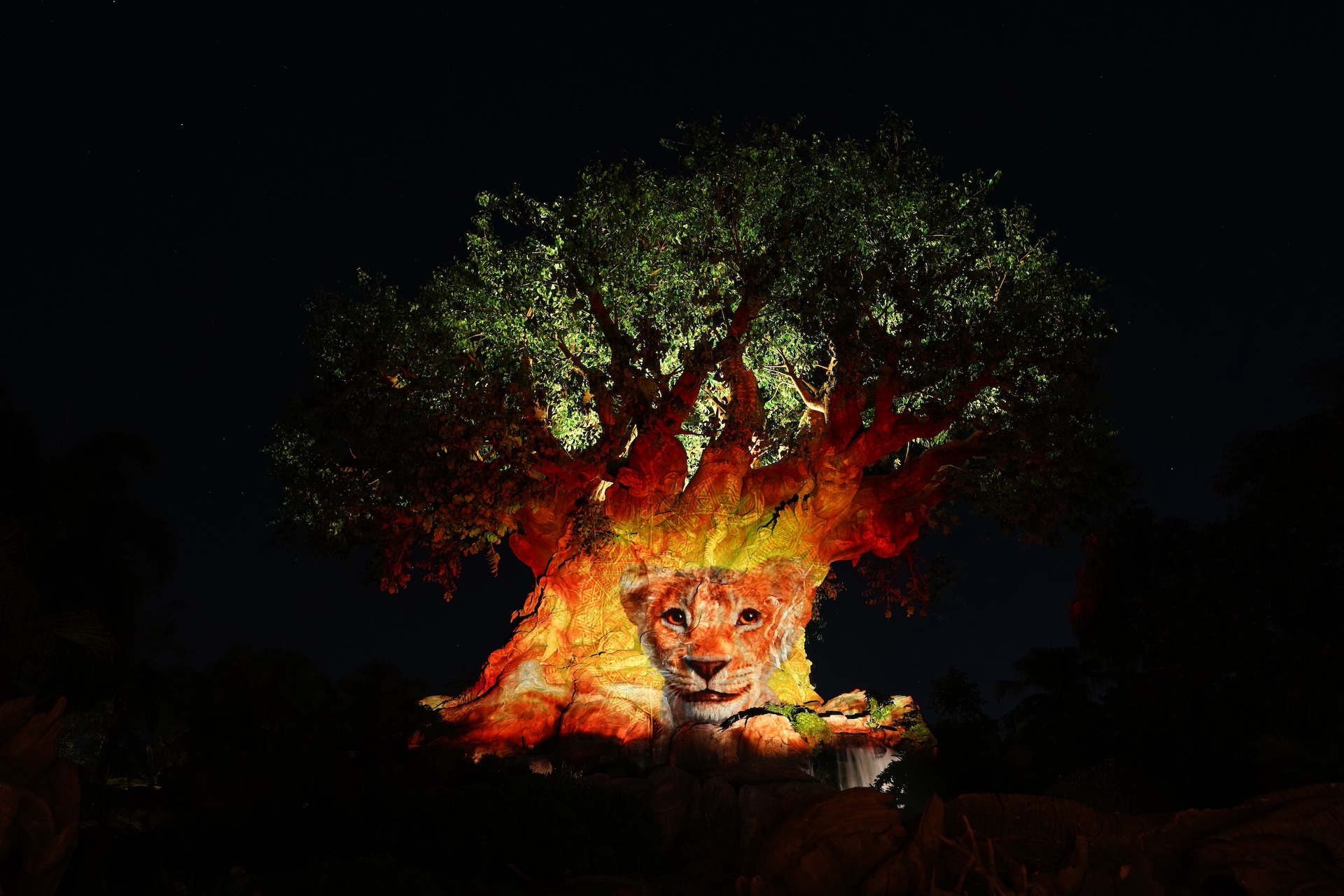 Roaring in: Experience Mufasa at Disney Parks