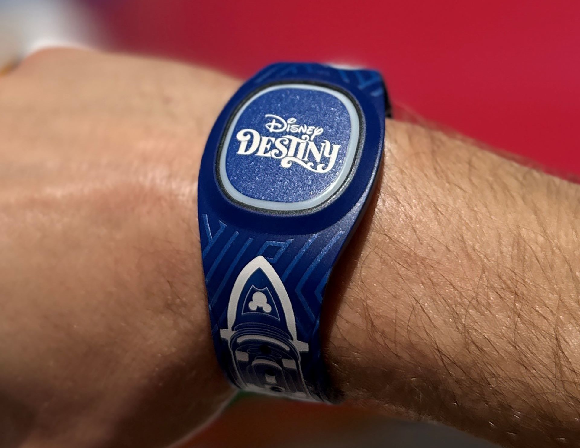 New Disney Destiny Merch Revealed