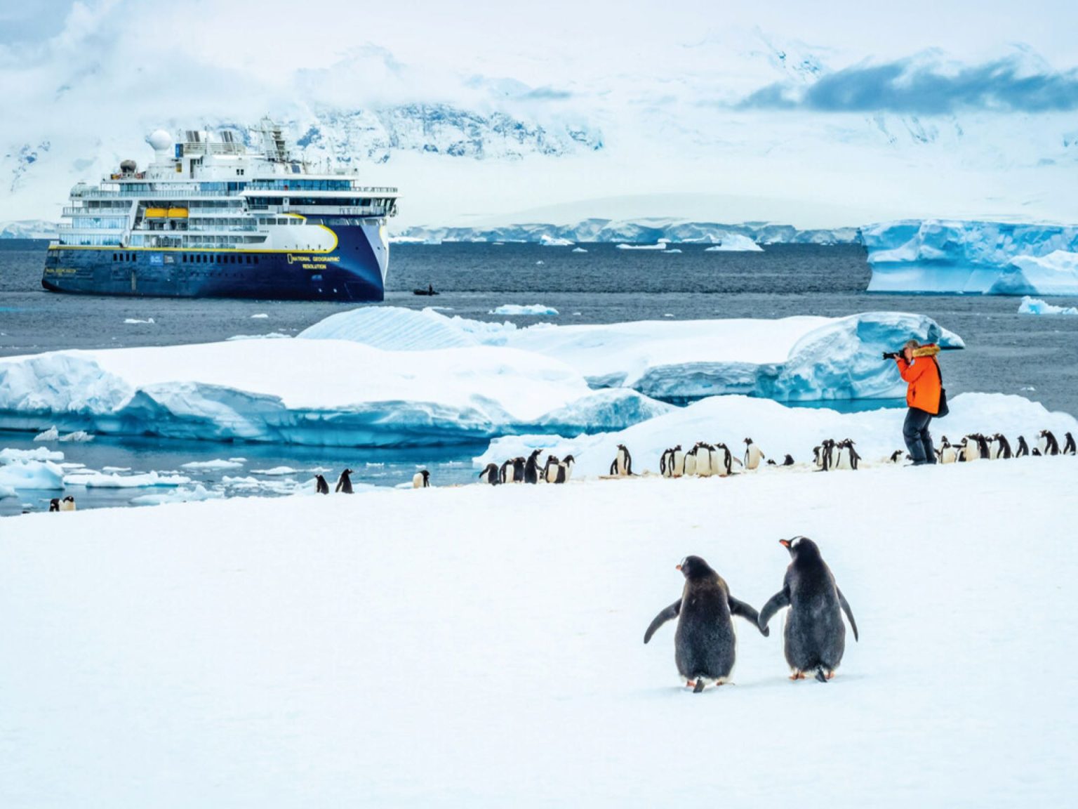 Here's How to See Penguins on Nat Geo Expeditions