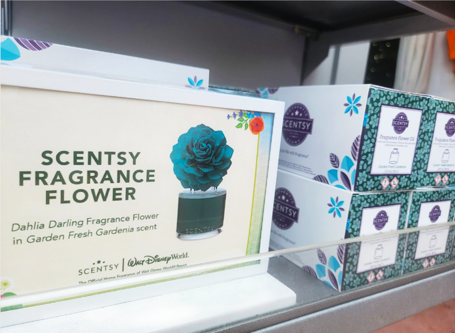 Fragrances with Scentsy at EPCOT Flower and Garden Festival | The Main ...