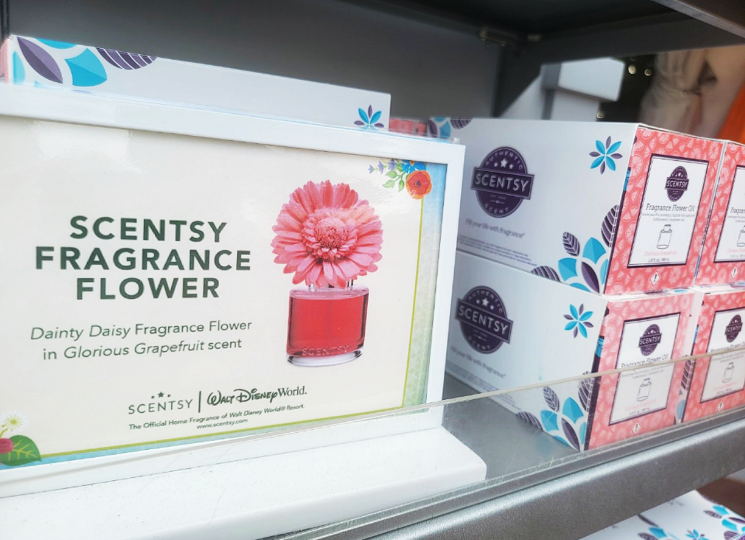 Fragrances with Scentsy at EPCOT Flower and Garden Festival | The Main ...