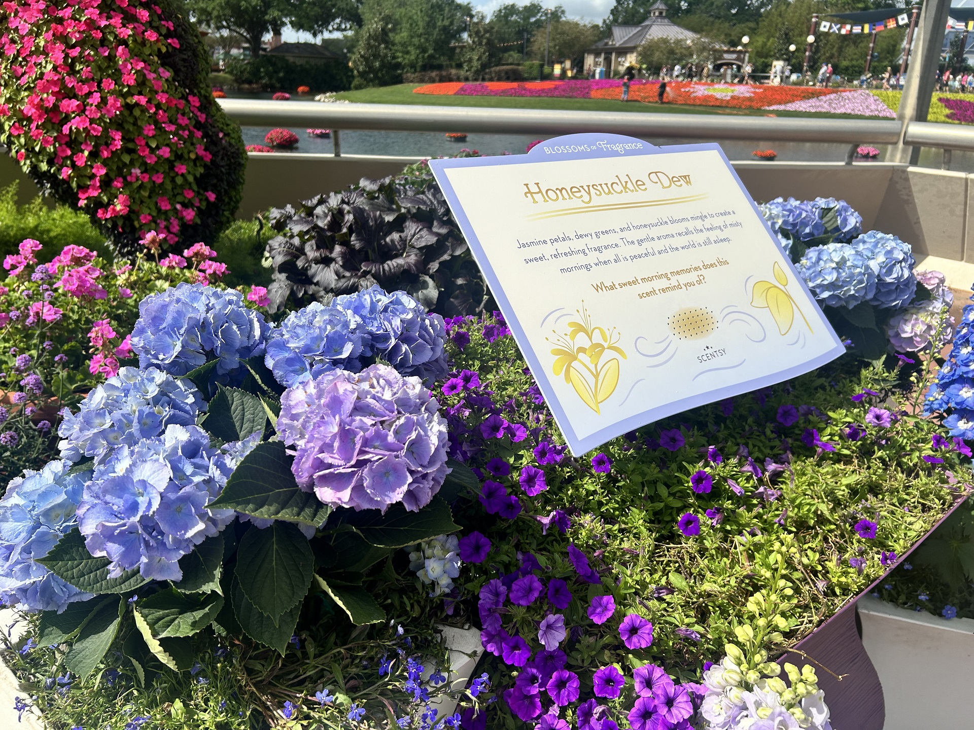 Scentsy’s Blossoms of Fragrance Blooms Again at EPCOT Flower & Garden ...