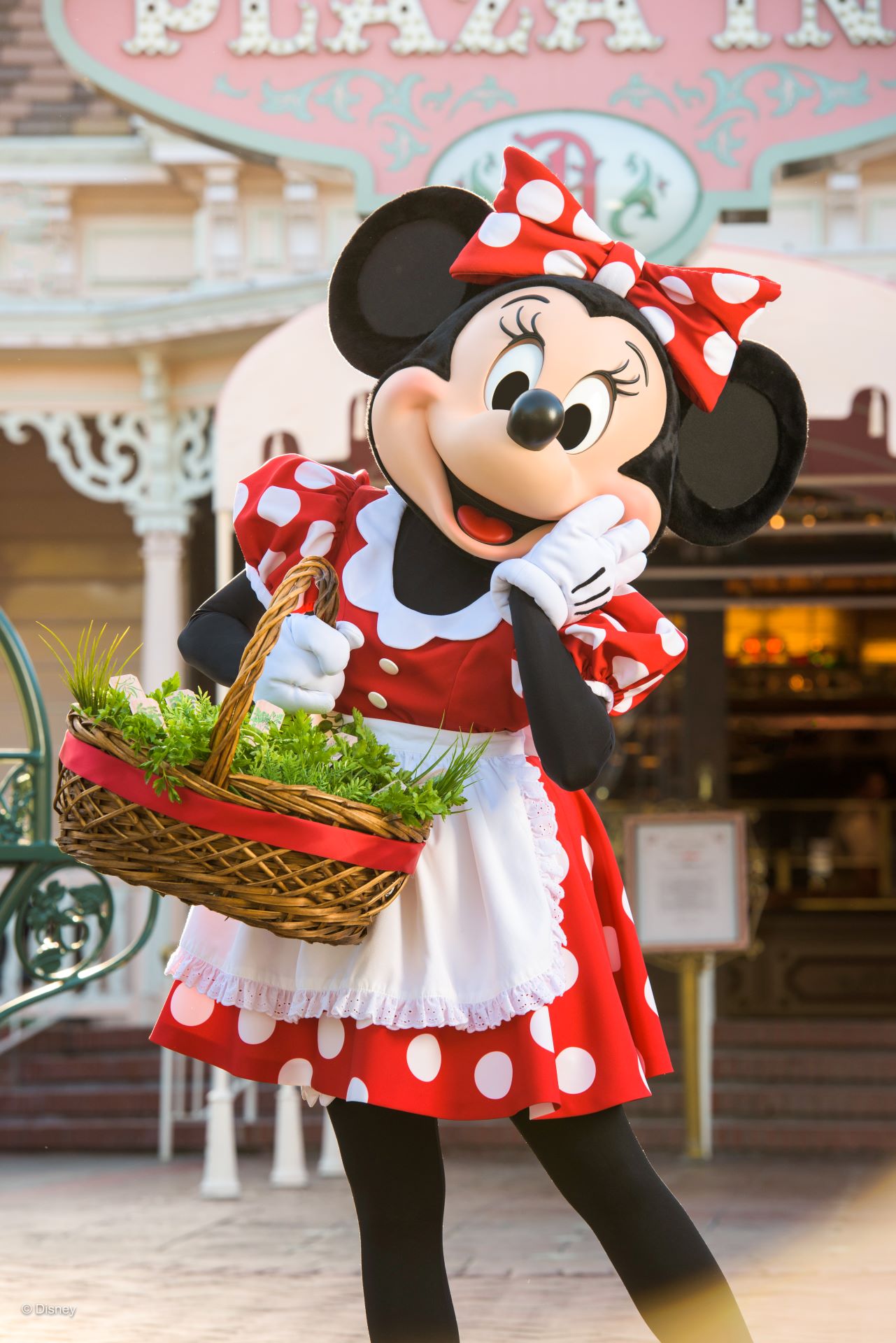 Where to Eat at Disneyland Park - MouseDining