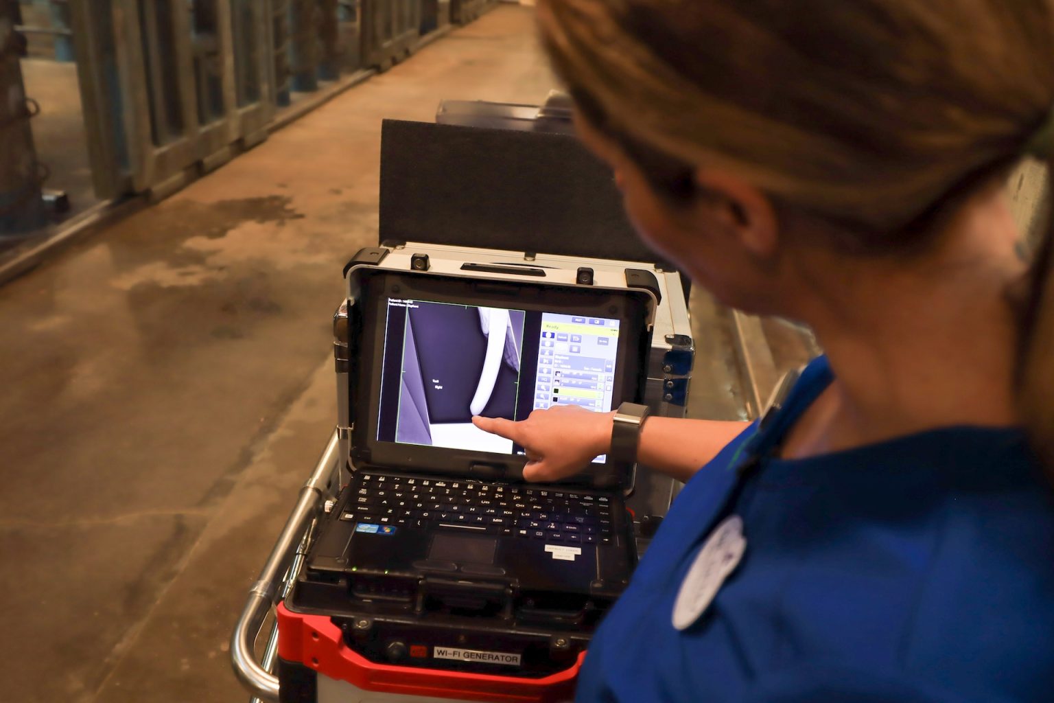 Elephant Foot X-Rays at Animal Kingdom