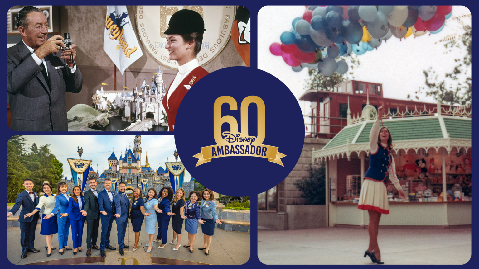 What is the Disney Ambassador Program?