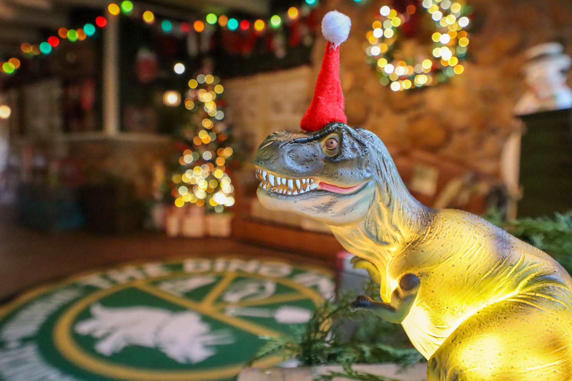 Santa at Disney World: Here's Where to Find Him
