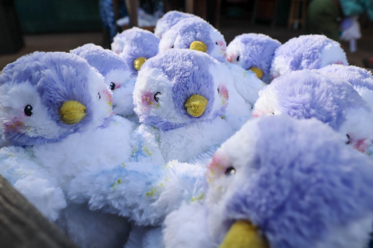 Merry Menagerie: Where to See it at Animal Kingdom