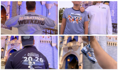 Everything You Need to Know About runDisney